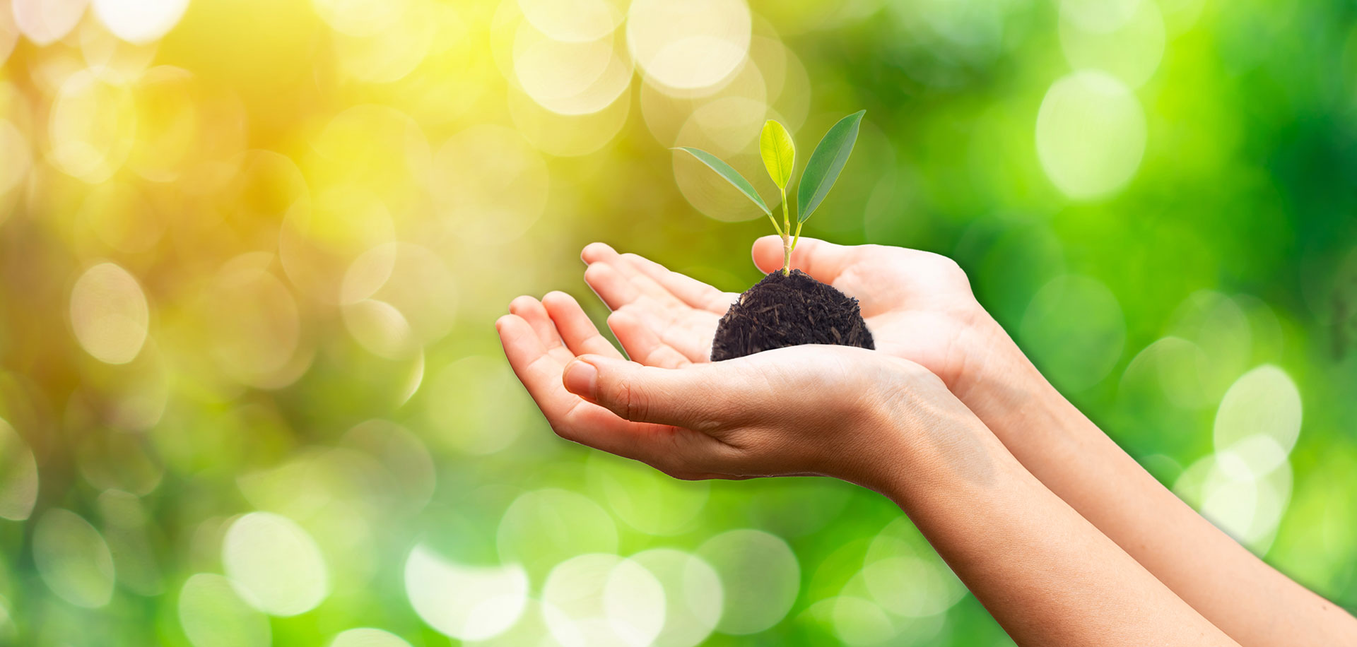 Sustainability - Planet Group